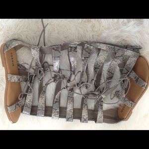 torrid | Shoes | New Torrid Snakeskin Leather Knee High Gladiator 6 ...